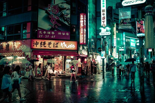 Fidelity Japan - Dec 2024 | Investor | Kepler Trust Intelligence